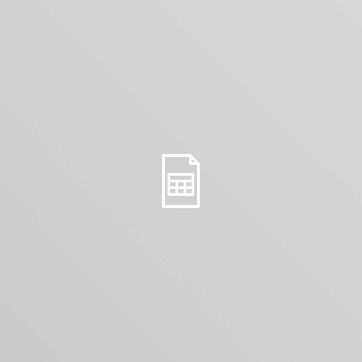 Project Management Project Charter Excel Template